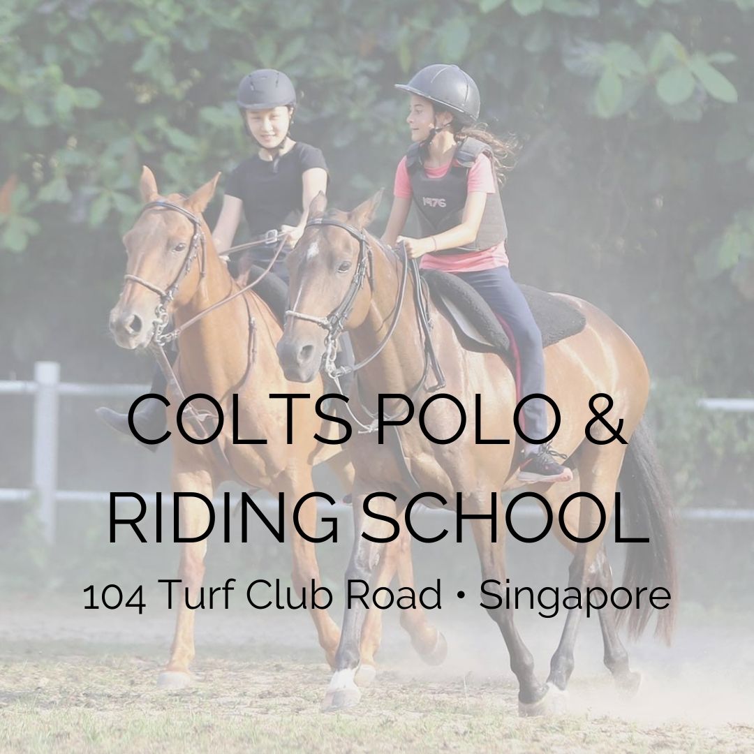 Polo Holidays & Training Camps - Tailshot Polo